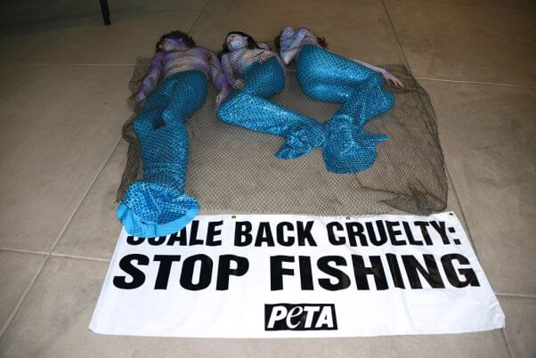 The PETA Empathy Center | PETA
