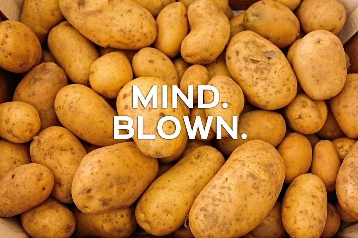 Australian Inventor Makes Vegan Cheese From Potatoes | PETA