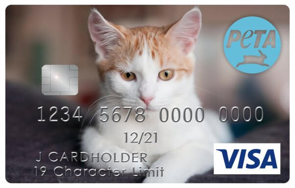 How to Help Animals While You Shop | PETA