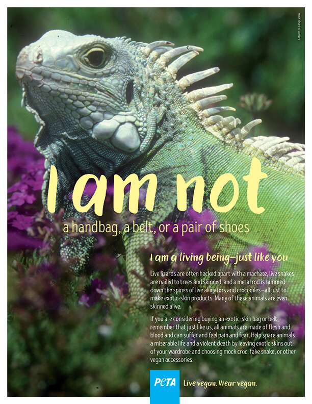 Print | PSAs | Media Center | PETA