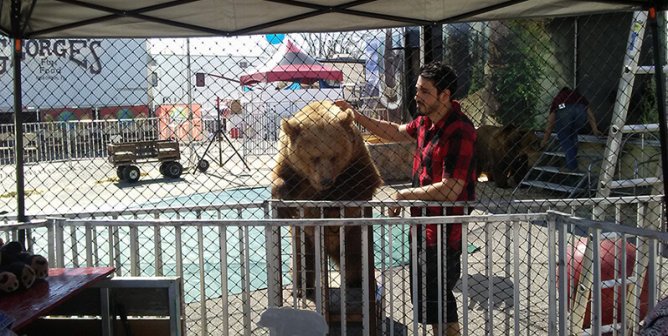Circuses | PETA