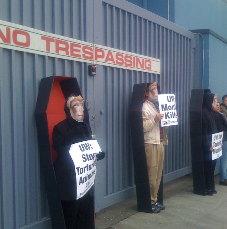 Monkey Dies of Dehydration, Is Latest University of Washington Victim ...