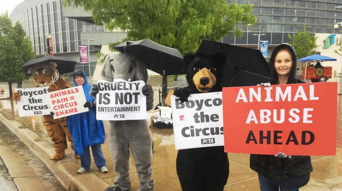 PETA's Claws Come Out After Bear Urinates on Herself at Shrine Circus ...