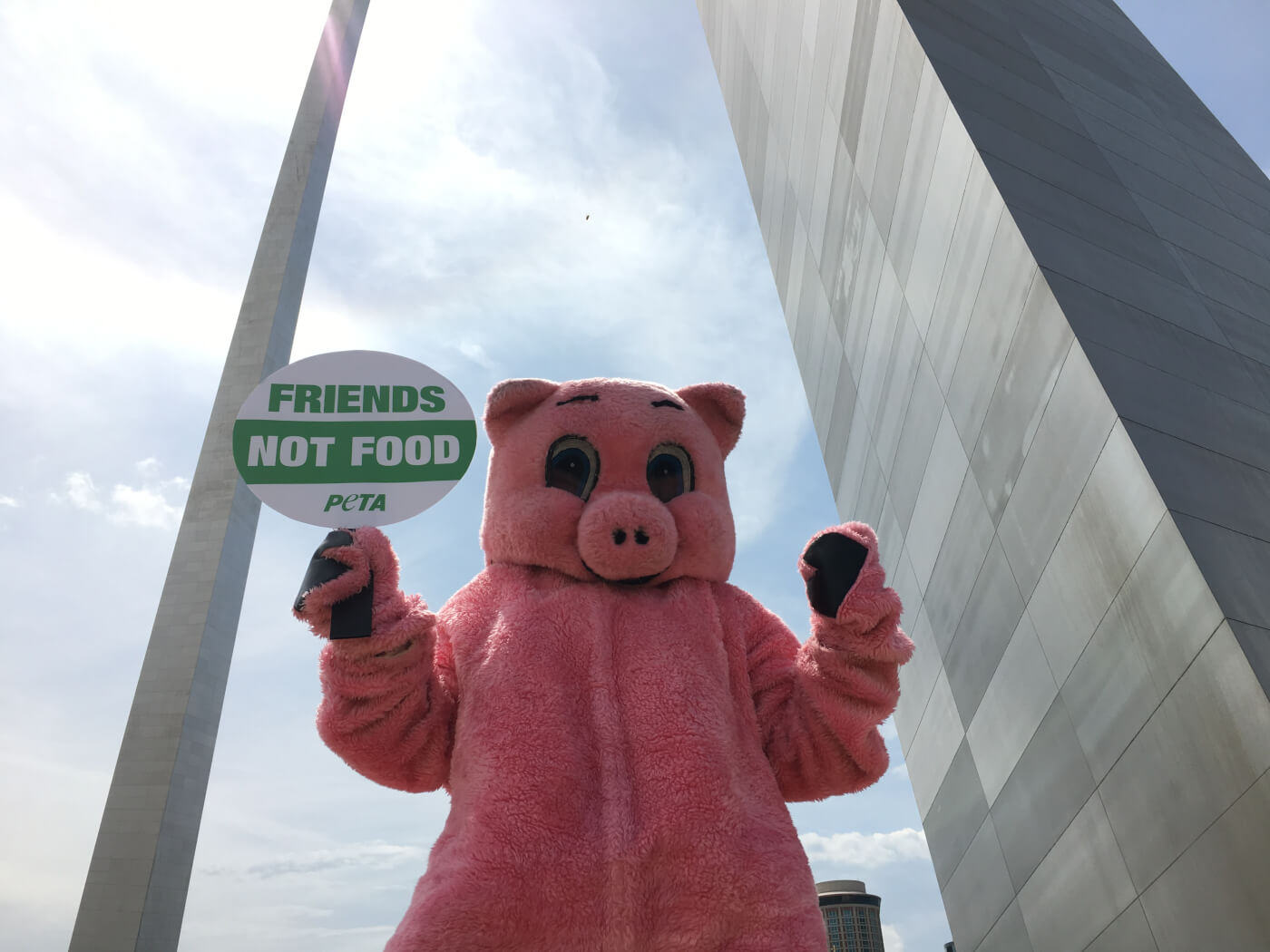 PETA 'Pig' Gives Away Vegan Sandwiches in Pre-Easter Plea | PETA