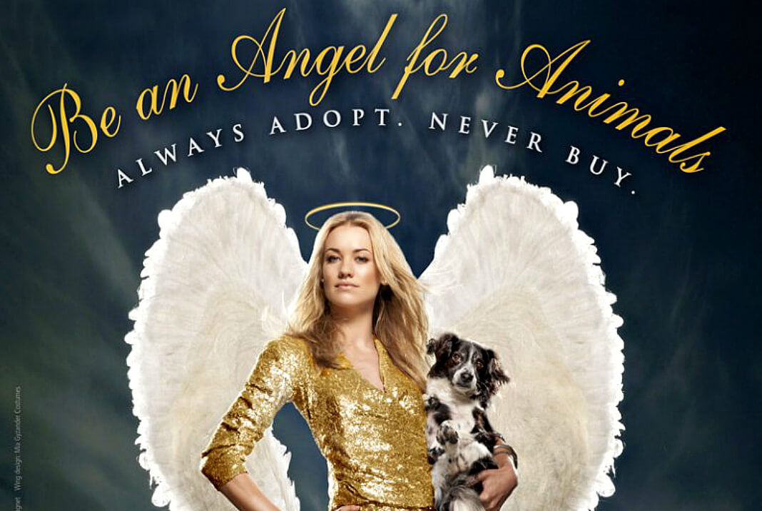 Yvonne Strahovski Is an ‘Angel for Animals’ | PETA