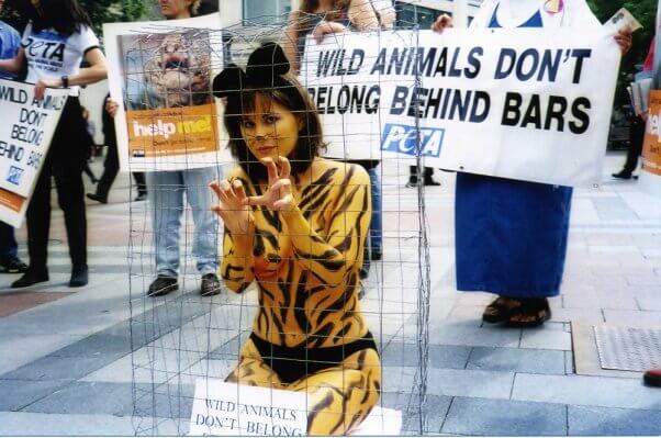 How PETA Took Down Circus Giant Ringling Bros. | PETA