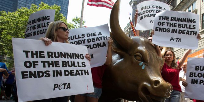 Bullfighting page 2 | PETA
