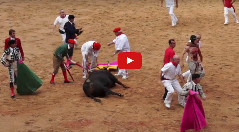 Bullfighting page 2 | PETA
