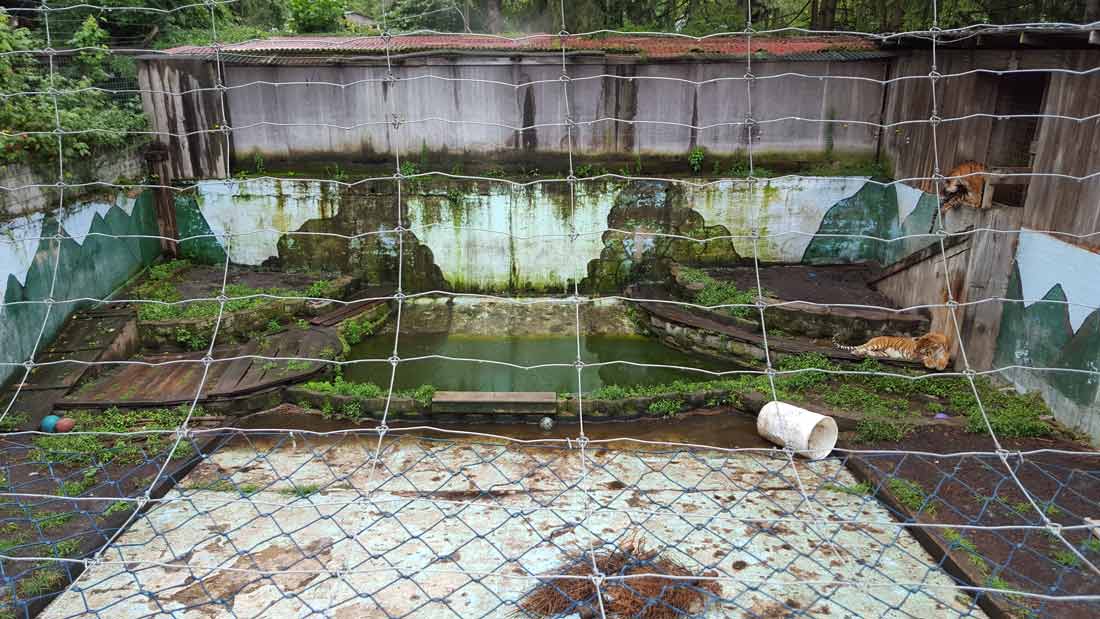 Tri-State Zoo Sued Over Treatment of Captive Animals | PETA