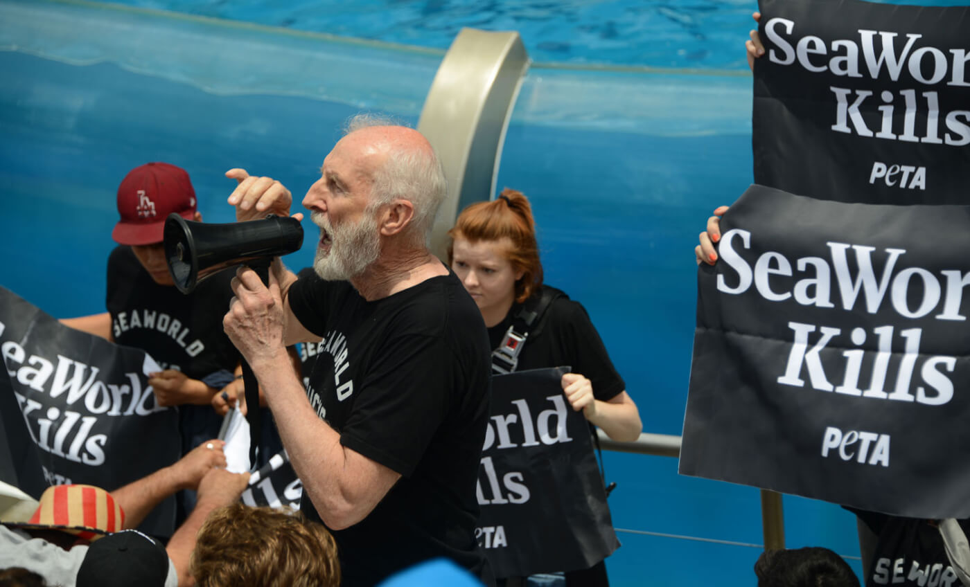 SeaWorld page 9 | PETA