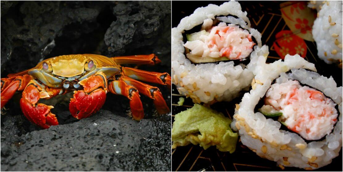 When You Find Out What Imitation Crab Is You Might Gag PETA When You Find Out What Imitation Crab Is You Might Gag PETA