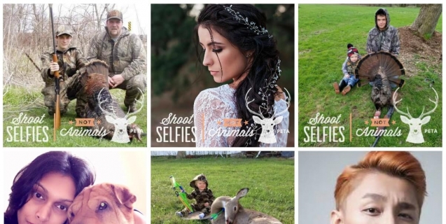 People for the Ethical Treatment of Animals (PETA): The animal rights ...