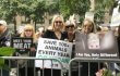 PETA's Blog | PETA
