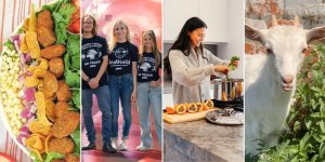 19 Vegan Recipes to Give You a New Lease on Lunch | PETA