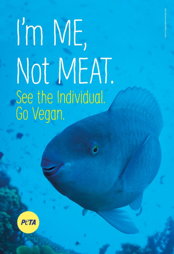 6 Things You’ll Learn From Netflix’s ‘Seaspiracy’ | PETA