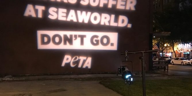SeaWorld page 8 | PETA