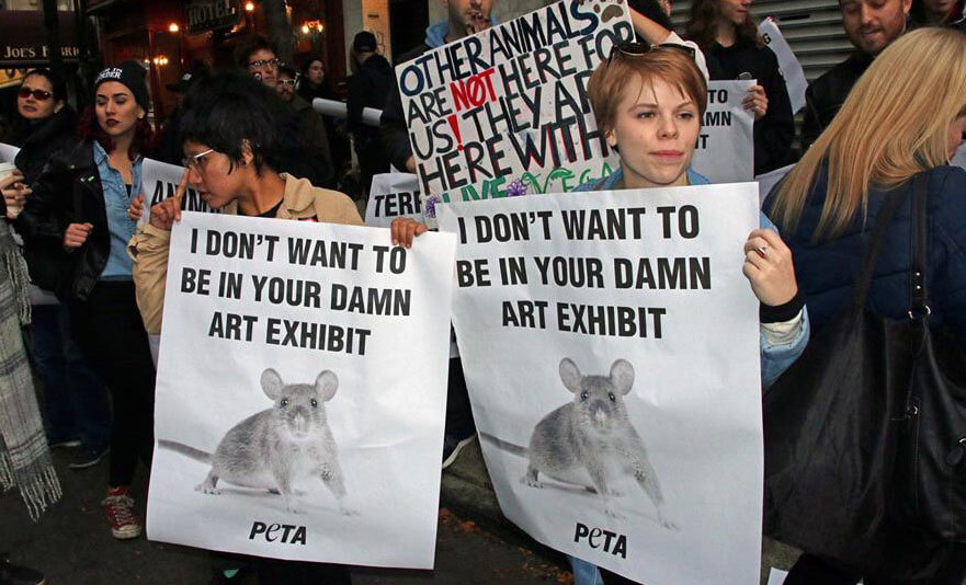 What Happens When PETA Protests a Live-Animal Exhibit?