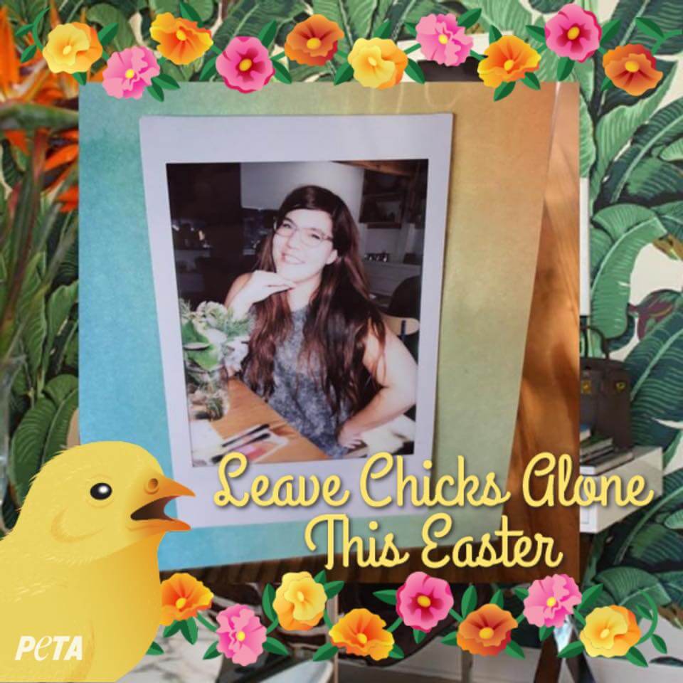 Half a Million People Have Used a PETA Facebook Frame—Are You One of ...