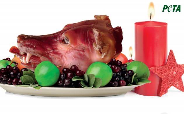 🐯🦆 කොහෙද බොල මේකා හැංගුණේ? 🦆🐯 | ElaKiri