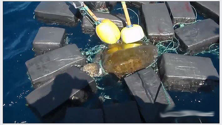 Let It Snow, Let Him Go: Coast Guard Saves Sea Turtle from…Cocaine?