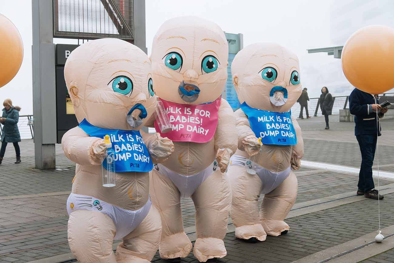 Giant Babies and Burning Bottles: PETA's December to Remember | PETA