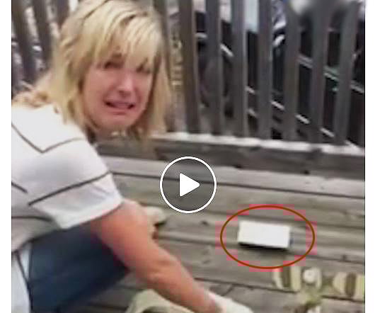 Girl Stuck In Glue Trap