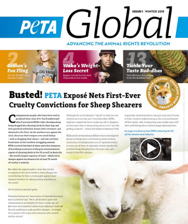 Uncategorized page 11 | PETA