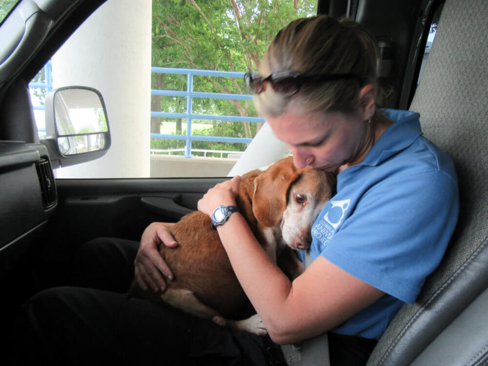 About PETA | PETA.org