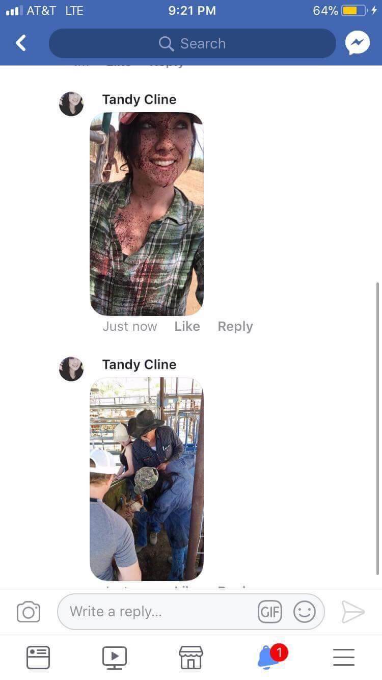 Rodeo Facebook Messages | PETA
