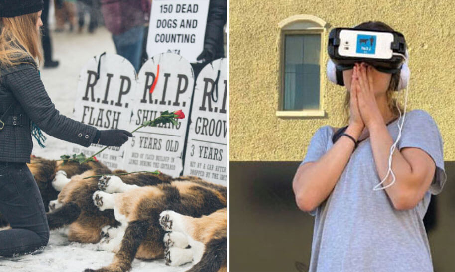 PHOTOS: These PETA Activists Prove We Will Never Be Silent