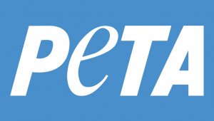 All About PETA | PETA