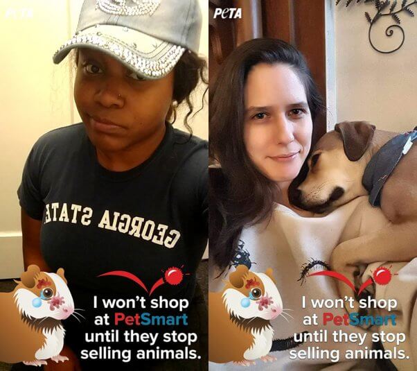 Speak Up for Animals Sentenced to a Slow Death at PetSmart | PETA