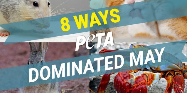 People for the Ethical Treatment of Animals (PETA): The Largest Animal ...