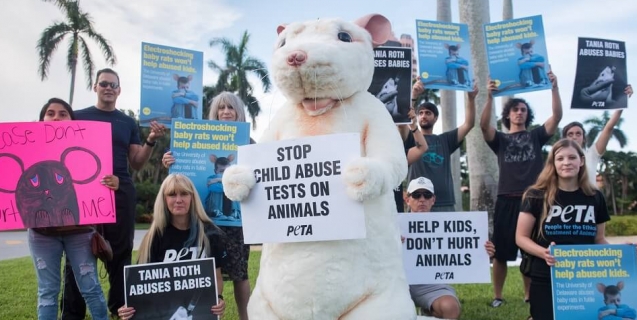 9 Reasons Why Fish Are Really Sad 'Pets' | PETA