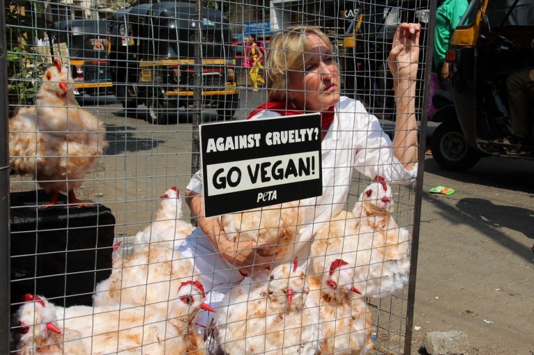 Vegan at KFC?! How to Try the Beyond Fried Chicken | PETA