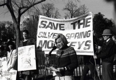 About PETA | PETA.org