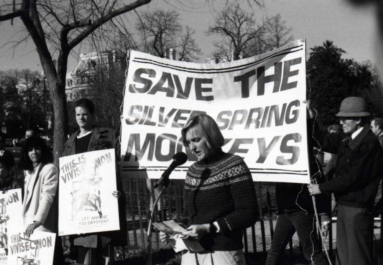 About PETA | PETA.org