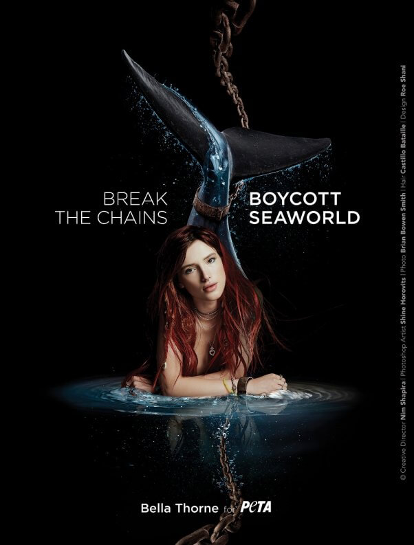 Bella Thorne Throws Some Heavy Shade at SeaWorld | PETA