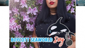 SeaWorld | PETA