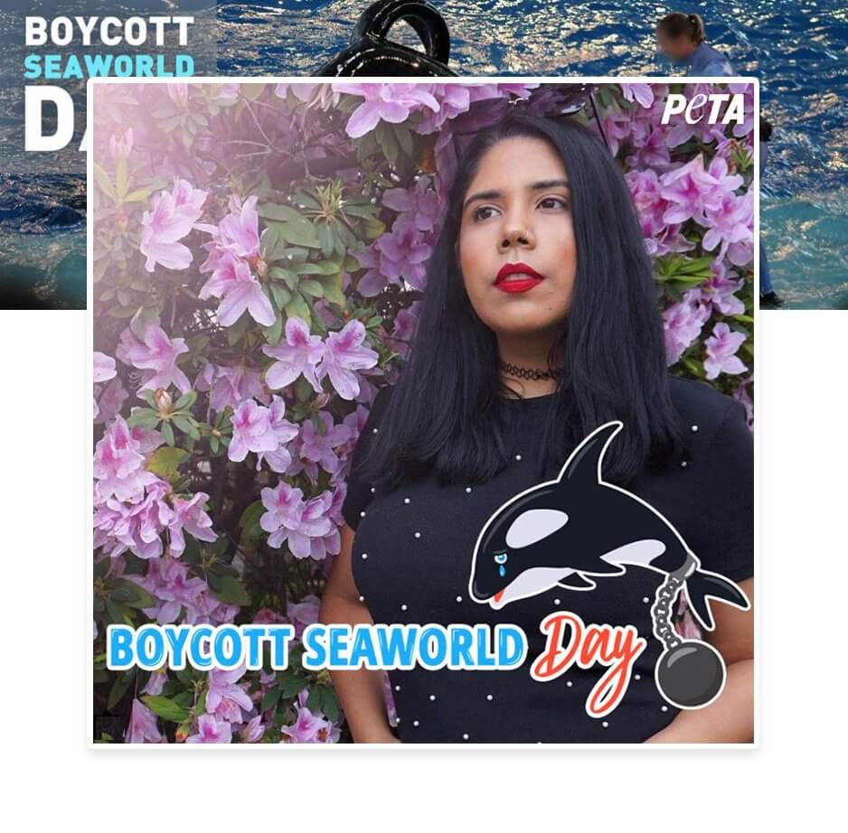 Campaigns page 9 - PETA