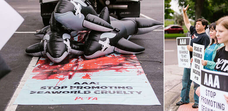 People for the Ethical Treatment of Animals (PETA): The Largest Animal ...