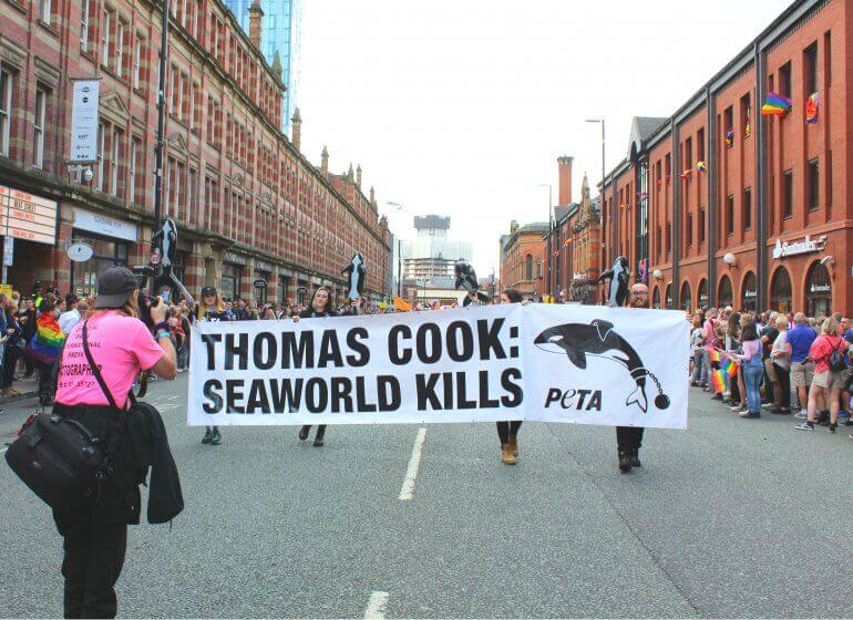 Campaigns page 9 - PETA