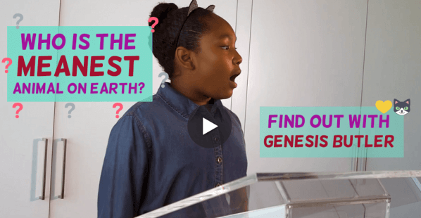 Programs page 16 | PETA