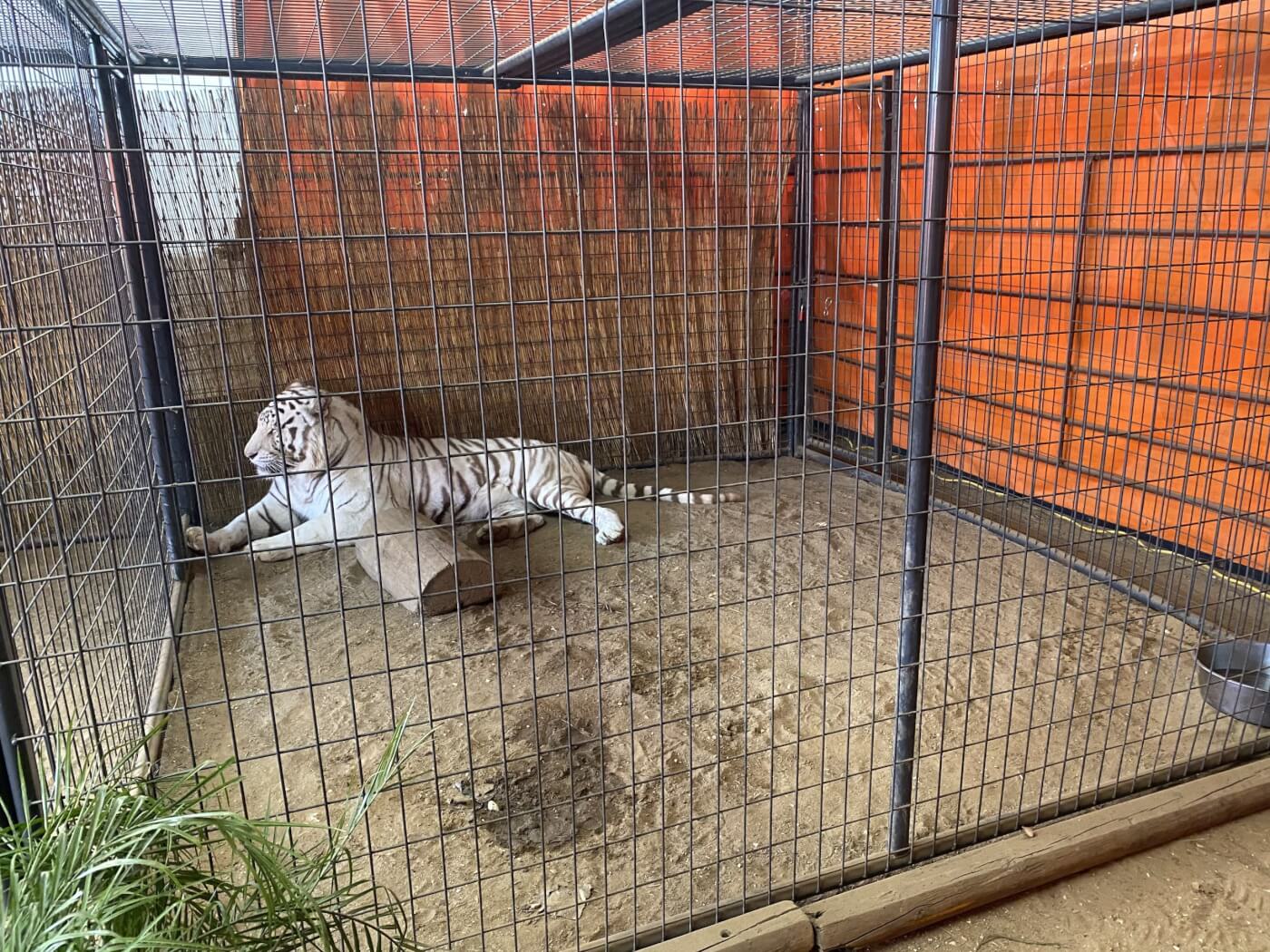 Action Alerts | Actions | PETA.org