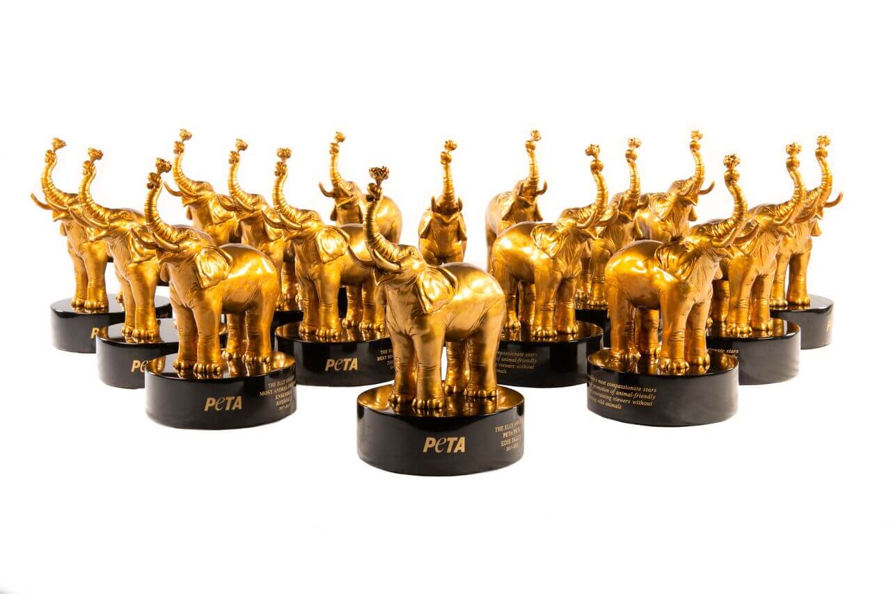 PETA Honors Compassion on TV With the Elly Awards | PETA