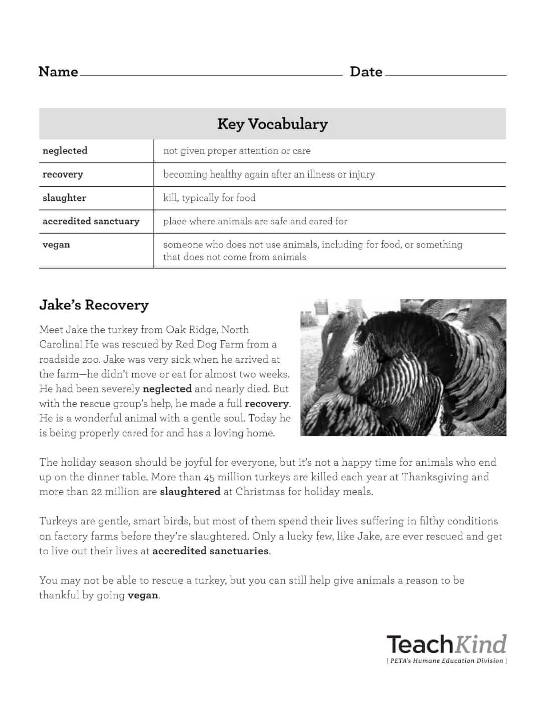 TeachKind Rescue Stories: Jake's Recovery | PETA