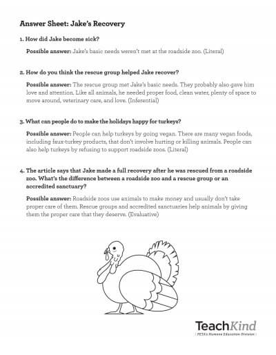 TeachKind Rescue Stories: Jake's Recovery | PETA