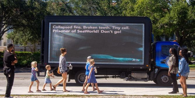 Page 6 | SeaWorld page 6 | PETA