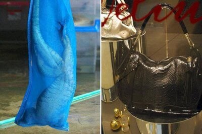 Photo Gallery: Animals Used for Clothing | PETA