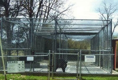 Photo Gallery: Animals Used for Entertainment | PETA